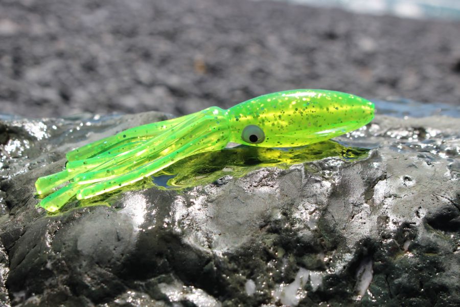 U5-10 10 pack of 5" B2 Squid bodies - Soft Plastic Squid Bodies